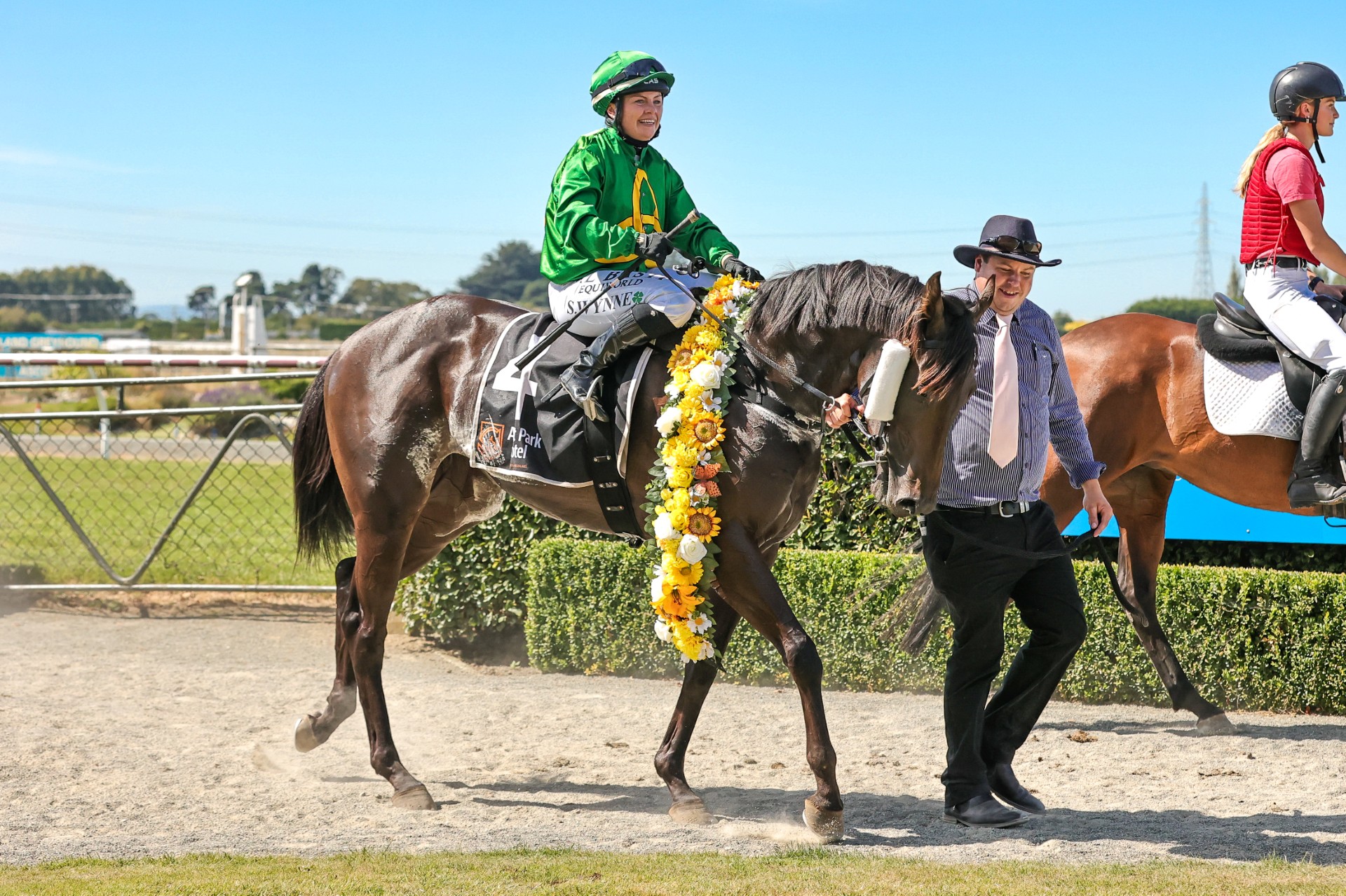 Pivotal Ten Horse Of The Year - Riccarton Park